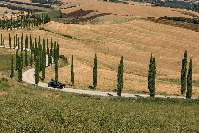 Florence Airport Private Departure Transfer - Final Thoughts: Who Will Love This?