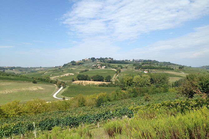 Florence and Wine Tasting Private Tour from Livorno - Key Points