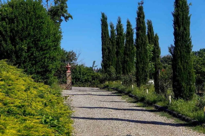 Florence by E-Bike: Hidden Hills & Local Thrills - The Experience of the Guide and Bikes