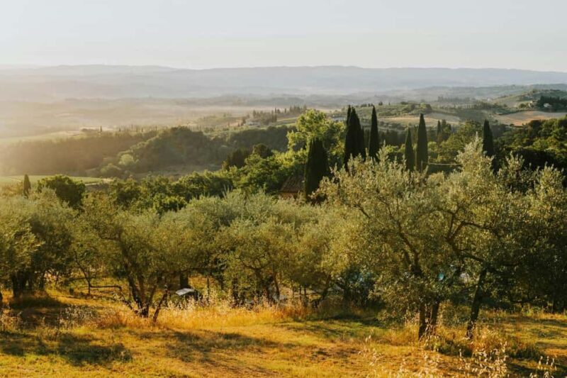 Florence by E-Bike: Hidden Hills & Local Thrills - Practical Details and Value