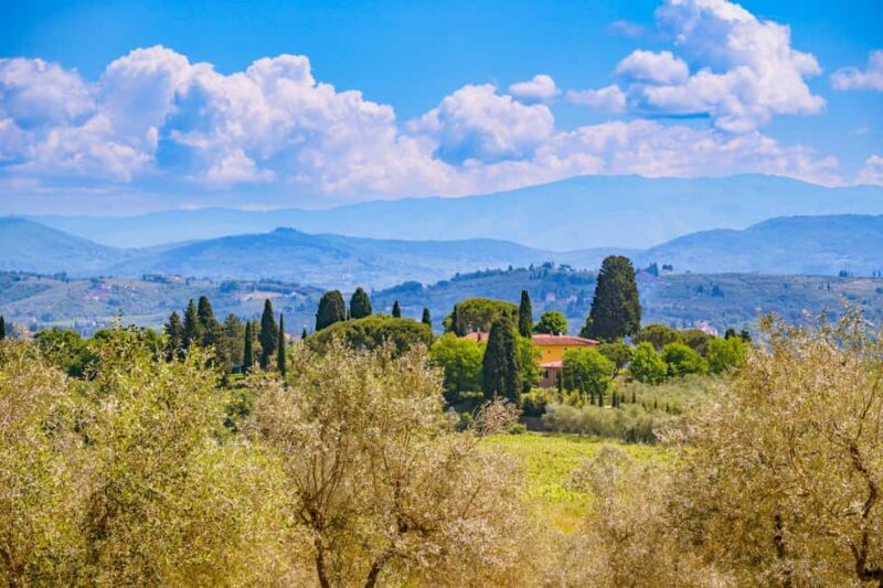 Florence: Chianti E-Bike Tour with Lunch & Two Wine Tastings - Key Points