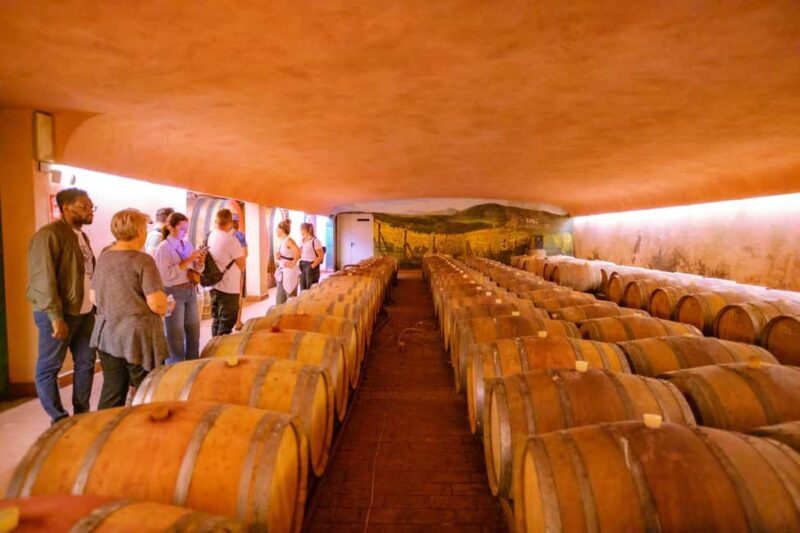 Florence: Chianti E-Bike Tour with Lunch & Two Wine Tastings - Why this tour is best suited for