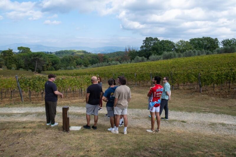 Florence: Chianti E-Bike Tour with Tuscan Lunch & Winery - Key Points