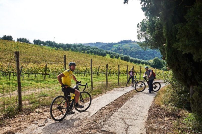 Florence: Chianti E-Bike Tour with Tuscan Lunch & Winery - Why This Tour Is Perfect for You