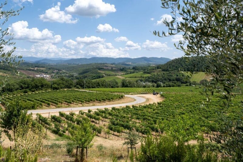 Florence: Chianti E-Bike Tour with Wine Tasting and Lunch - FAQs