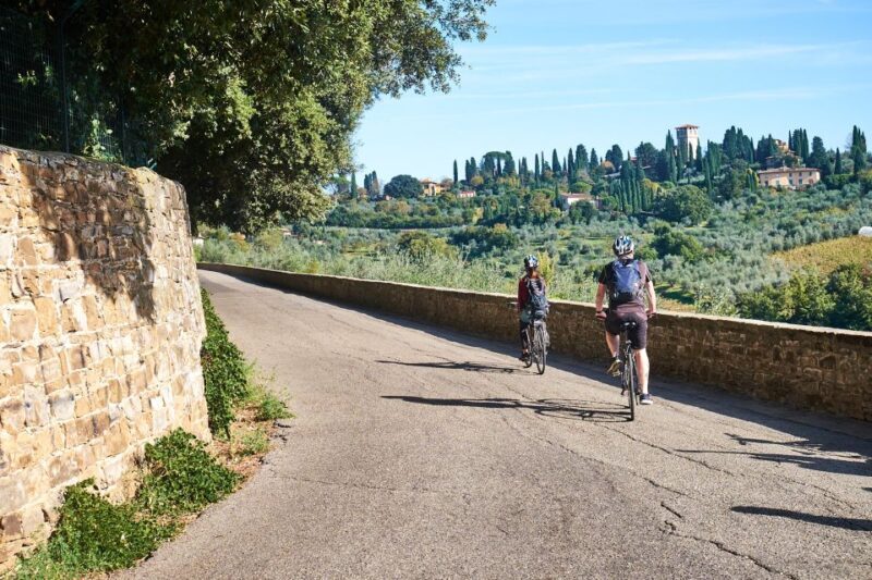 Florence: Chianti Hills Bike Tour with Farm Lunch & Wine - Key Points