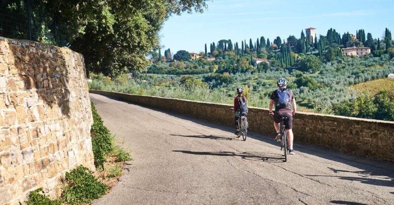 Florence: Chianti Hills Bike Tour with Farm Lunch & Wine - What Makes This Tour Stand Out?