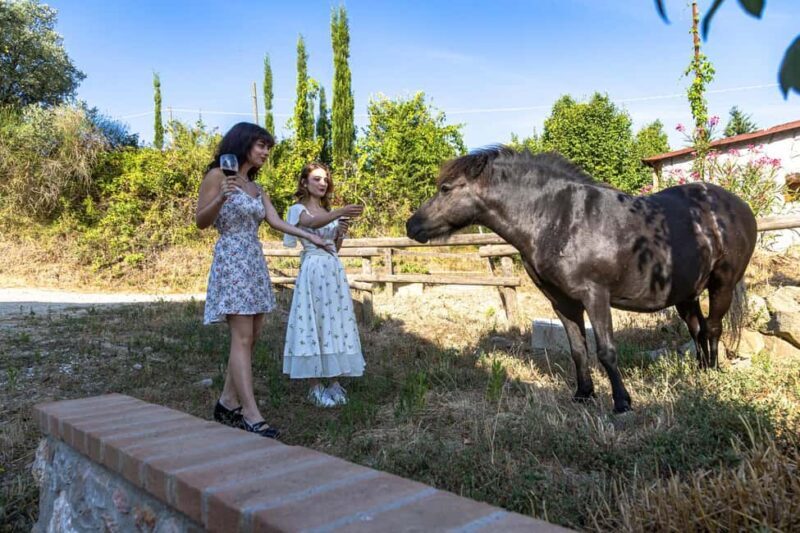 Florence: Cooking Class on a Traditional Tuscan Farm - Florence: Cooking Class on a Traditional Tuscan Farm — A Practical Take on Authentic Italian Cuisine