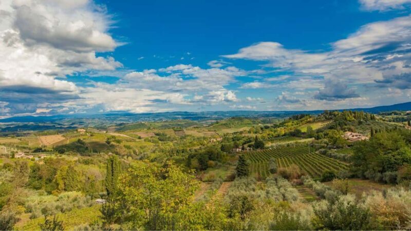 Florence Countryside 2.5h Premium E-Bike Tour + Photo Shoot - A Closer Look at the Florence Countryside E-Bike Tour