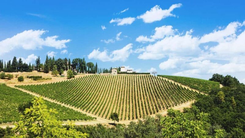 Florence Countryside 2.5h Premium E-Bike Tour + Photo Shoot - What Reviewers Loved