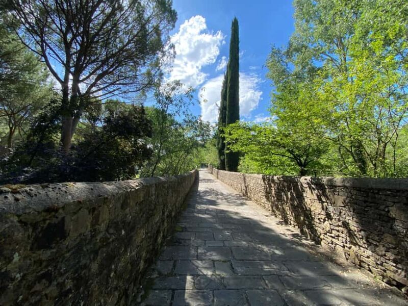Florence Countryside 2.5h Premium E-Bike Tour + Photo Shoot - Who Will Love This Tour?