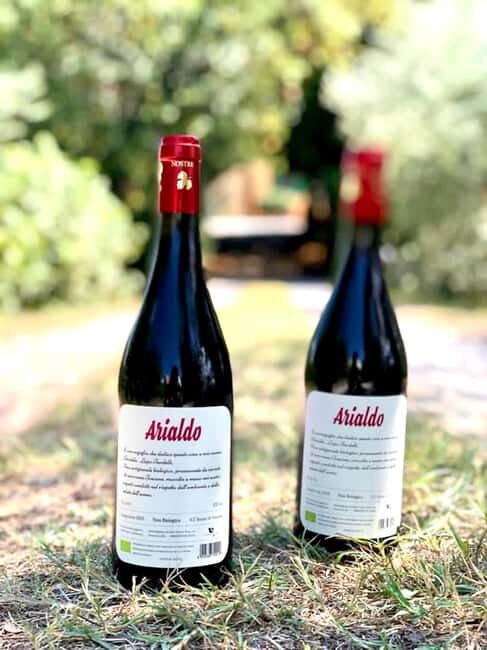 Florence: Countryside Tour with Wine Tasting & Pasta Class - A Closer Look at the Tuscany Countryside Tour