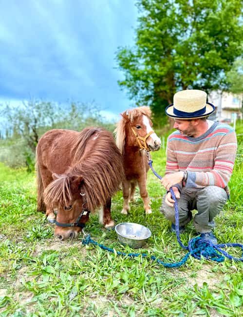 Florence: Countryside Tour with Wine Tasting & Pasta Class - Who Will Love This Tour?