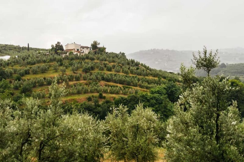 Florence: Countryside Vintage Fiat 500 Driving Tour - The Value of This Experience