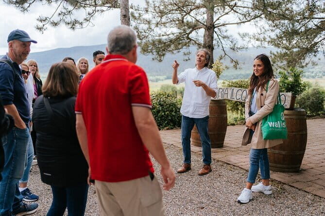 Florence Day Trip: Chianti Wine Tasting, Siena, San Gimignano - What Makes This Tour Stand Out