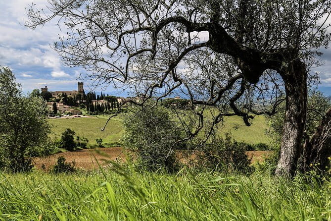 Florence Day Trip: Chianti Wine Tasting, Siena, San Gimignano - Siena: The Medieval Marvel