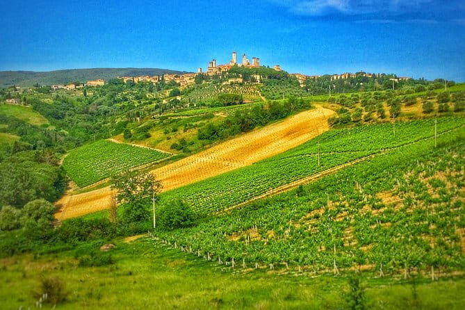 Florence Day Trip: Chianti Wine Tasting, Siena, San Gimignano - What Travelers Say
