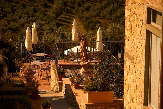 Florence: Great Chianti Wine and Olive Oil Trail with Lunch - Who Will Love This Tour?