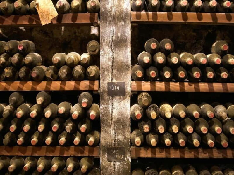 Florence: Great Chianti Wine and Olive Oil Trail with Lunch - Olive Oil Mill Tour