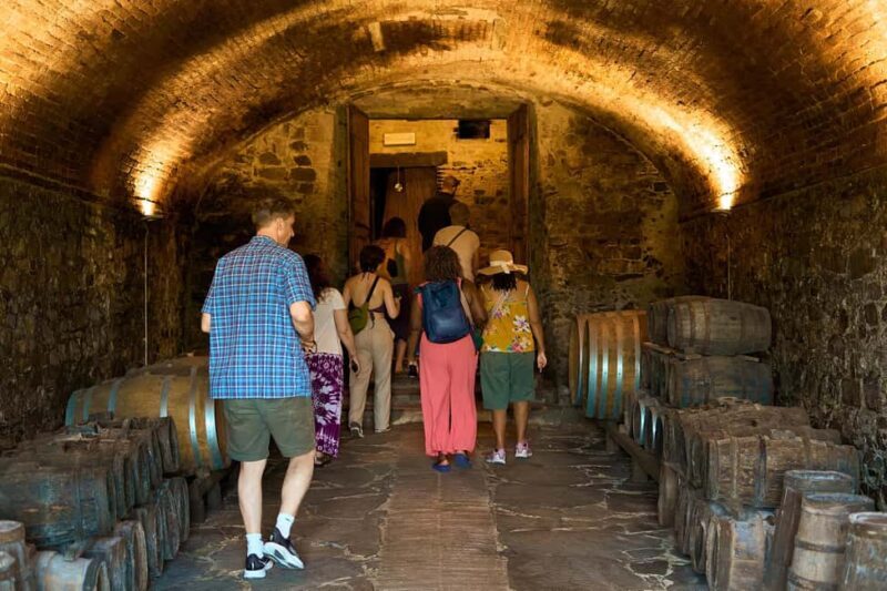 Florence: Great Chianti Wine and Olive Oil Trail with Lunch - Learning and Sipping