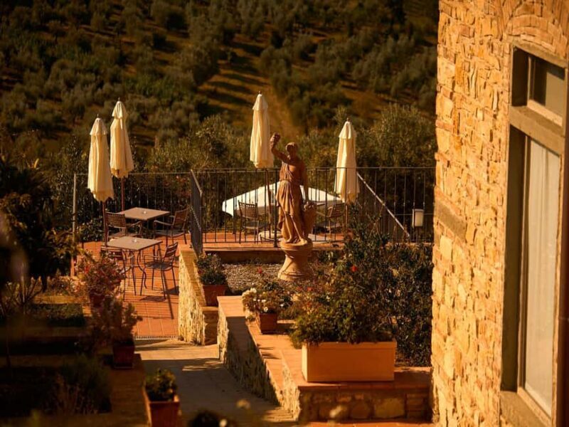 Florence: Great Chianti Wine and Olive Oil Trail with Lunch - Flexibility and Upgrades