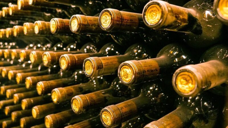 Florence: History Walking Tour with Wine Tasting - Insights from Reviews
