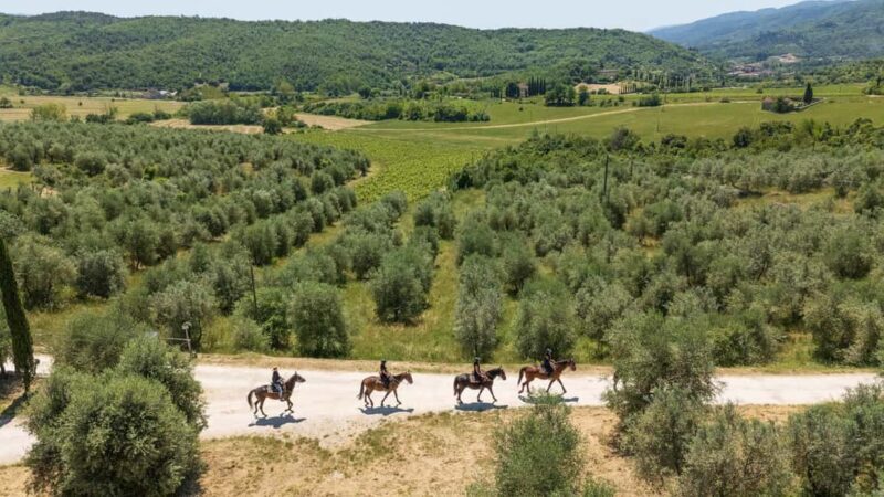 Florence: Horseback Riding Tour with Wine Tasting & Transfer - Key Points