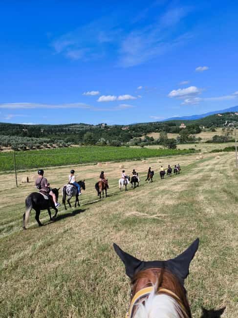 Florence: Horseback Riding Tour with Wine Tasting & Transfer - Why This Tour Works Well