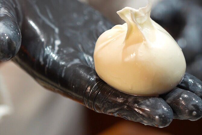 Florence: Mozzarella Cheese Making with Wine and food Tastings - The Sum Up