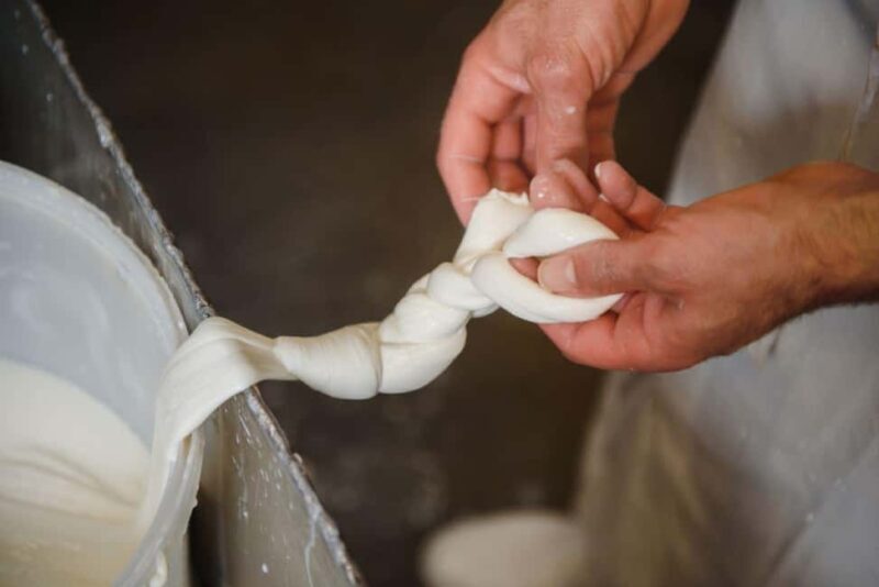 Florence: Mozzarella Making Workshop with Wine Tasting - The Authentic Flavor of Italian Hospitality and Craftsmanship