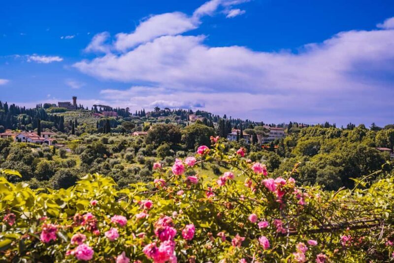Florence: Pitti Palace and Boboli Gardens Guided Tour - Introduction to the Tour Experience