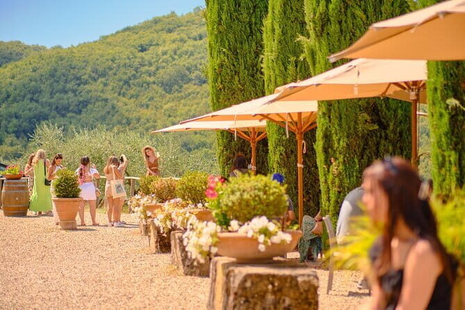 Florence: Private Half-Day Chianti Tour and Wine Tasting Optional - The Practicalities and Value  