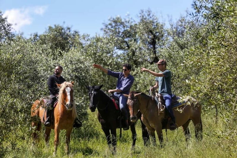 Florence: Private Horseback Ride with Tuscan Lunch or Dinner - An Authentic Taste of Tuscany on Horseback