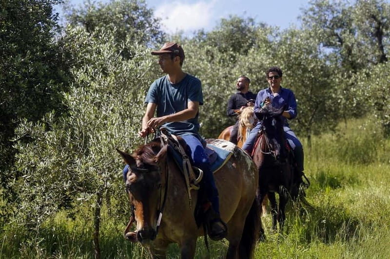 Florence: Private Horseback Ride with Tuscan Lunch or Dinner - Transportation and Overall Value