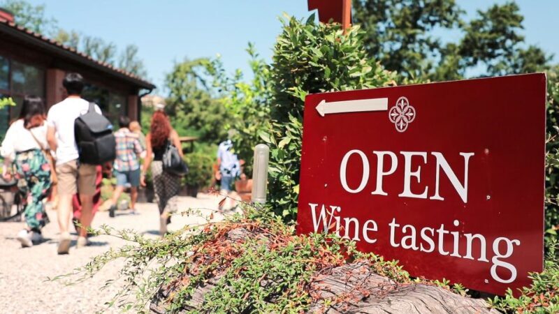 Florence: S. Gimignano, Siena, Chianti Wine Tasting & Lunch - What We Love About This Tour