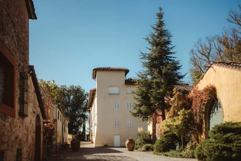 Florence: San Gimignano, Truffle Hunt, Wine Tasting, & Lunch - Key Points  