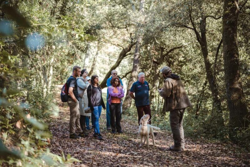 Florence: San Gimignano, Truffle Hunt, Wine Tasting, & Lunch - A Farm-to-Table Truffle-Inspired Lunch  