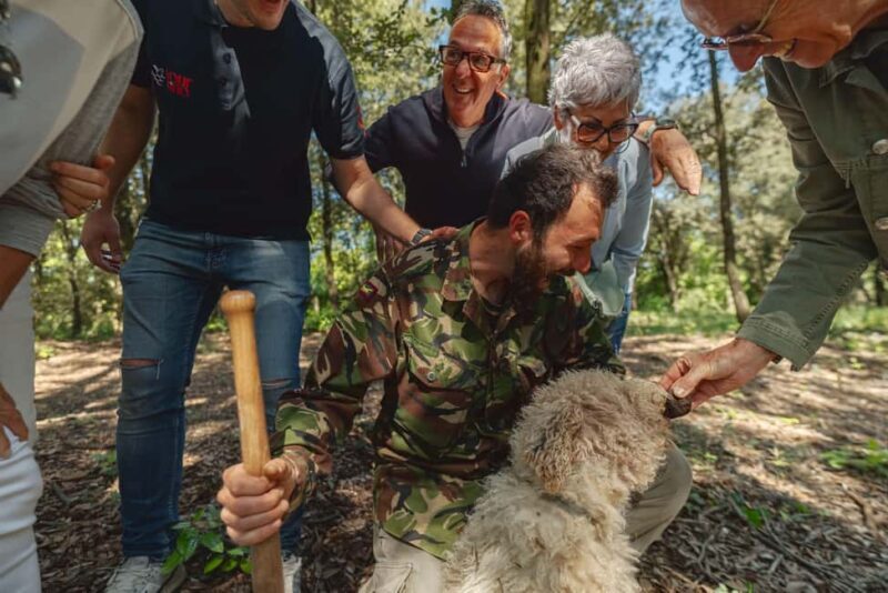 Florence: San Gimignano, Truffle Hunt, Wine Tasting, & Lunch - Exploring a Medieval Estate and Villa  