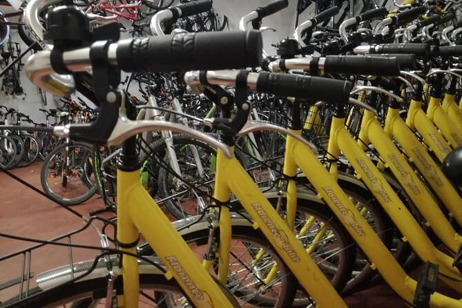 Florence treasures on a city bike - 1 day rental - - The Experience in Detail