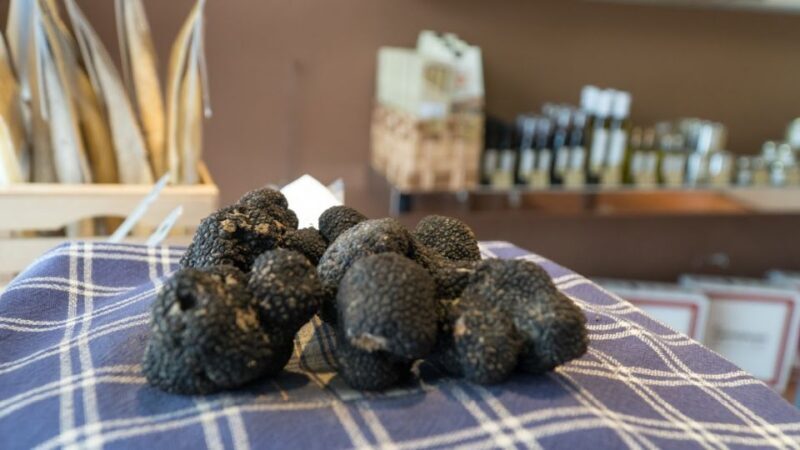 Florence: Truffle Hunting and Vinci with Lunch and Winery - An In-Depth Look at the Experience