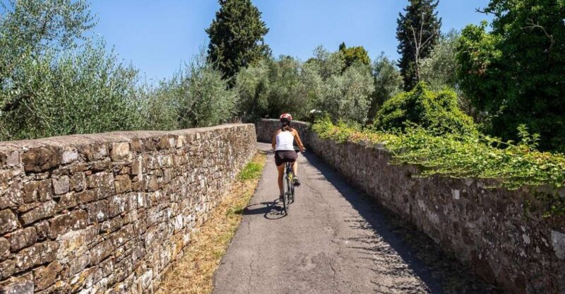 Florence: Tuscany Bike Tour with Wine & Olive Oil - Key Points