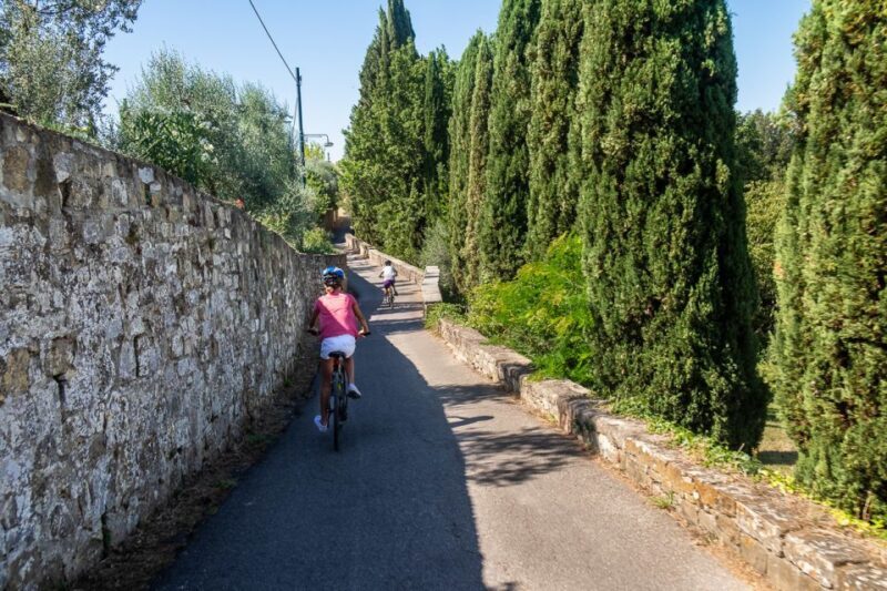 Florence: Tuscany Bike Tour with Wine & Olive Oil - Why This Tour Is Worth Considering