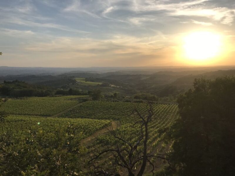 Florence: Tuscany Chianti Winery Private Day-Trip with Lunch - Practical Details and Tips