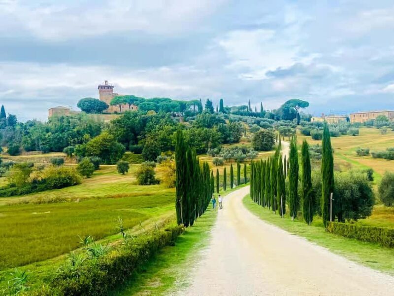 Florence: Val dOrcia Wine Tasting & Lunch Small Group Tour - Practical Considerations