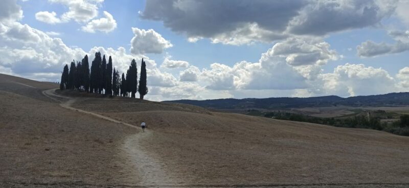 Florence: Valdorcia Wine, Brunello Montalcino, Montepulciano - Why This Tour Is Worth It