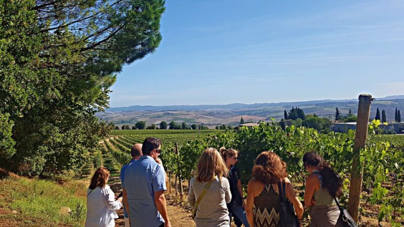 Florence: Valdorcia Wine, Brunello Montalcino, Montepulciano - FAQ
