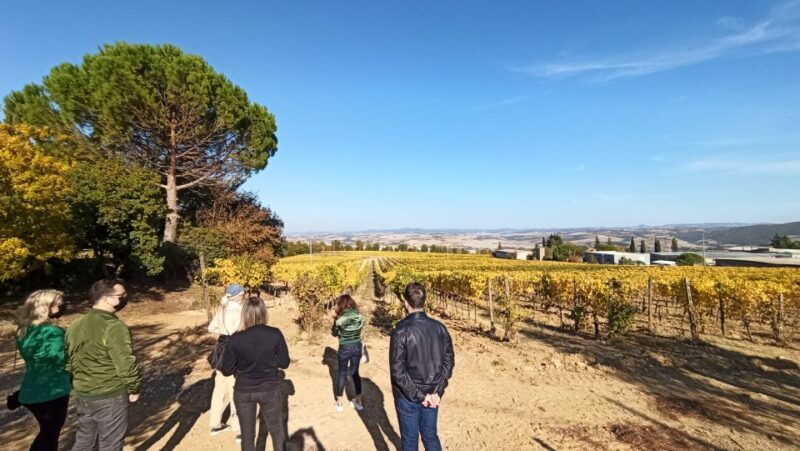 Florence: Valdorcia Wine, Brunello Montalcino, Montepulciano - Final Thoughts