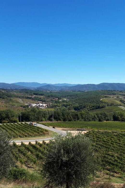 Florence: Vintage Fiat 500 Tour with Chianti Winery & Lunch - Visiting a Family-Run Farm