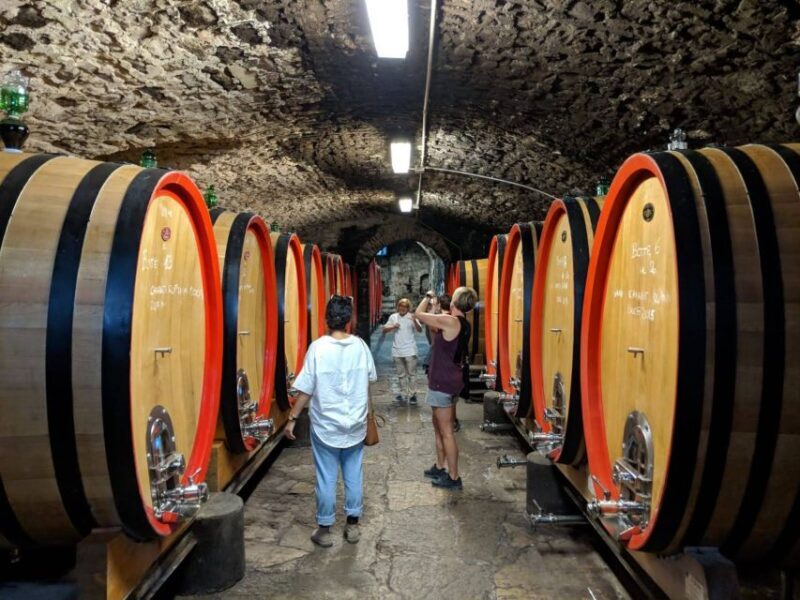 Florence Wine Tour with Traditional Lunch, Private Winery - Practical Details and Considerations
