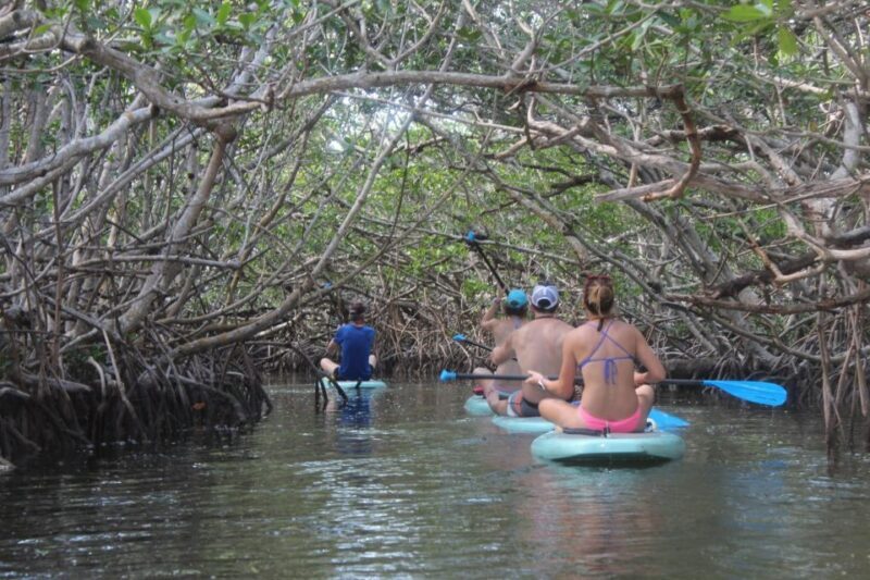 Florida Keys: Full-Day Kayak + Snorkel Coral Reef Adventure - Discover the Beauty of the Florida Keys with a Well-Rounded Water Adventure